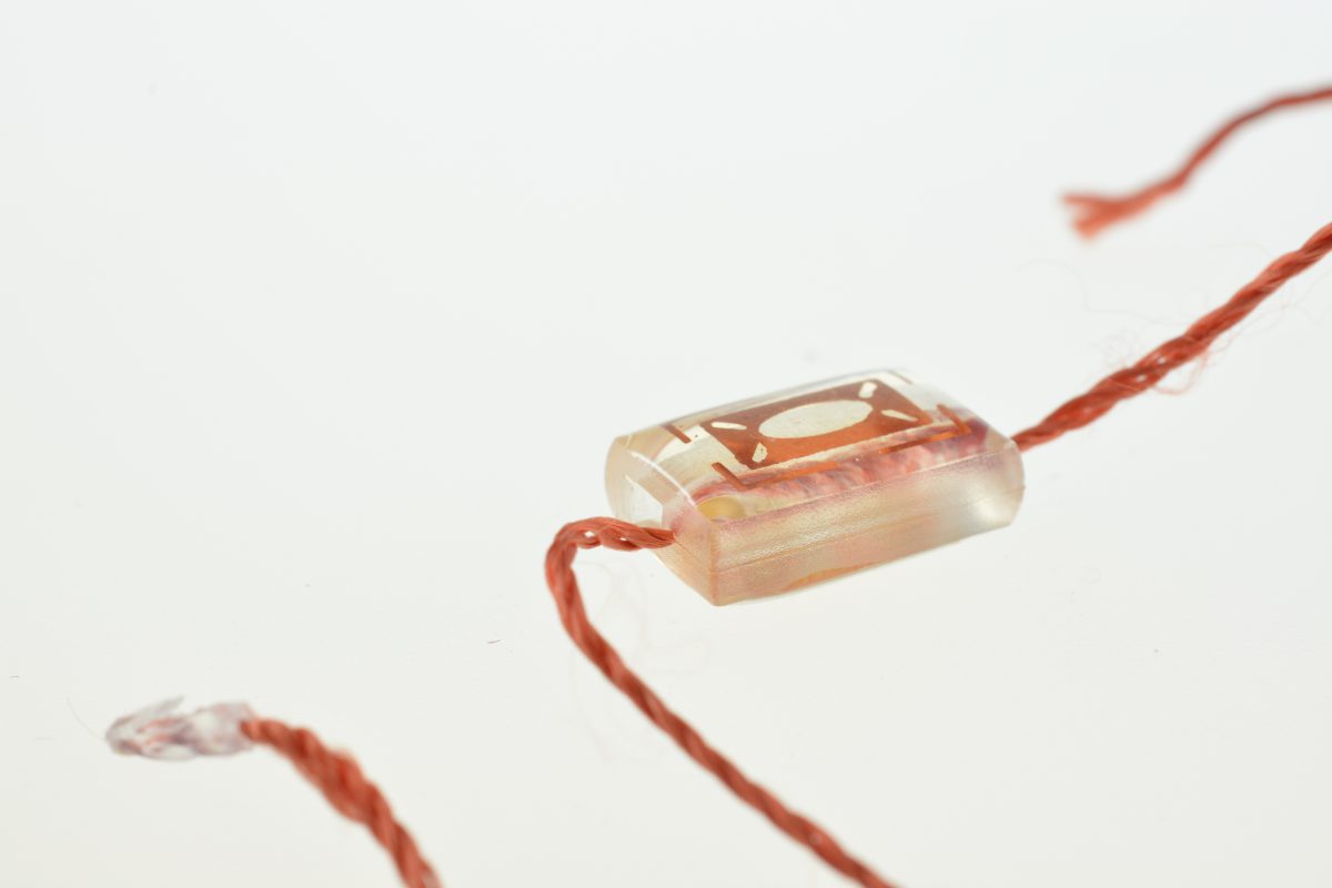 STRINGS & SEALS - Jointak